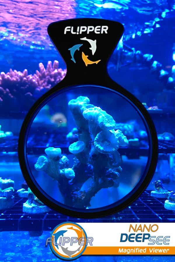 Deepsee Clear Viewer with Lens Magnifying – ReefHaven
