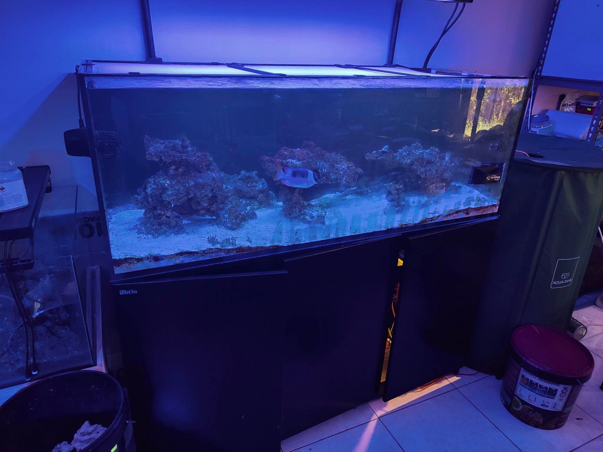Secondhand Setup Red Sea 525XL Tank+Equipment (NEGOTIABLE) – ReefHaven